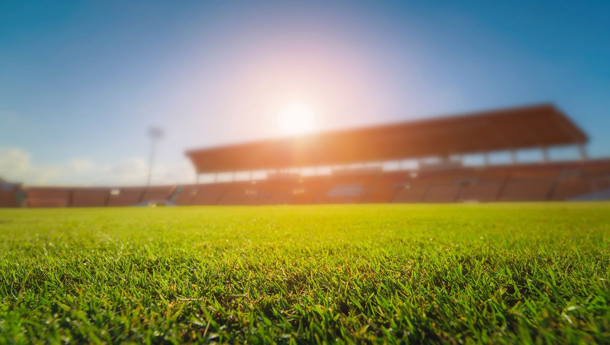 Nexans - Soil heating